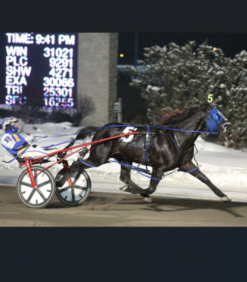DOMETHATAGAIN | Standardbred Canada